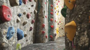 Bouldering vs Rock Climbing: Exploring the Core Differences - Wooden ...